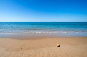 Les dix raisons de visiter absolument visiter El Rompido