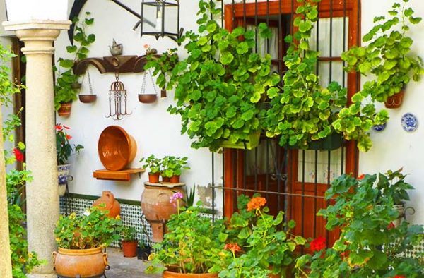 Patios de Andalucia, 10 lugares donde no puedes perderte los patios