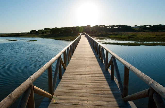 Cosas que hacer y ver en El Rompido, Huelva, Costa de la Luz