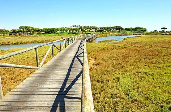 Things to see and do in El Rompido, Huelva, Costa de la Luz