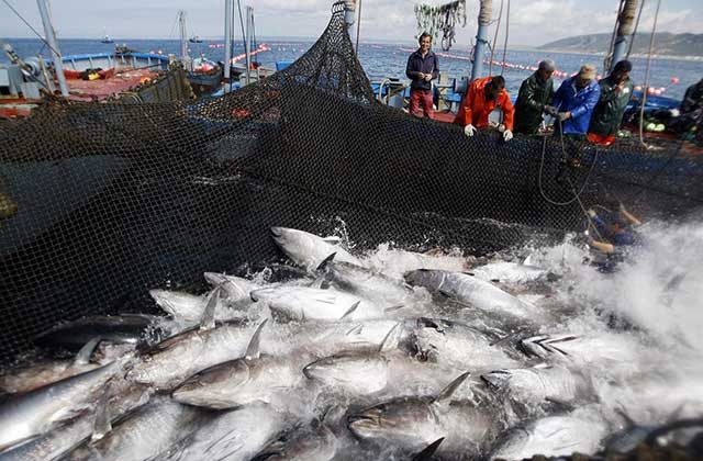 Conoce la historia de El Real de la Almadraba en El Rompido Huelva