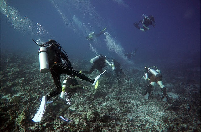 Snorkelling in Andalucia, Scuba diving and diving in Andalucia