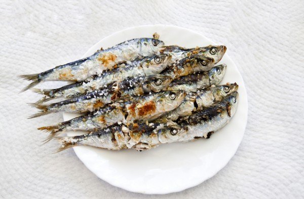 Espetos the best way to eat sardines, Malaga sardines Skewers