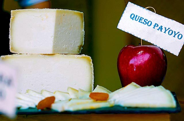 Payoyo cheese, Sierra de Cadiz cheeses route, Andalucia