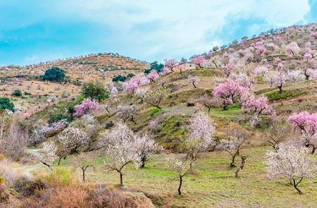 10 places in Andalucia where it should always be spring