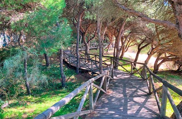 Cosas que hacer y ver en El Rompido, Huelva, Costa de la Luz