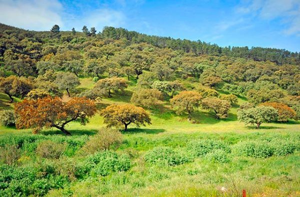 Natural wonders of Andalucia, natural parks, landscapes and beaches