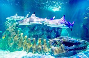 Theme parks for families in Malaga