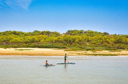Cosas que hacer y ver en El Rompido, Huelva, Costa de la Luz