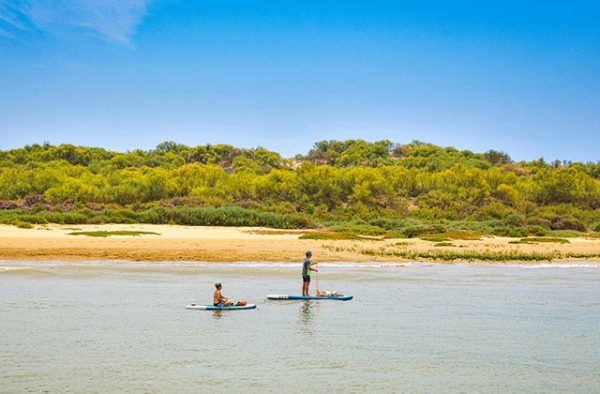 Cosas que hacer y ver en El Rompido, Huelva, Costa de la Luz