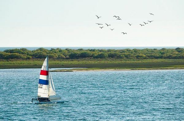 Things to see and do in El Rompido, Huelva, Costa de la Luz