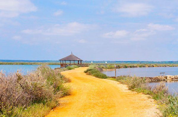 Paraje Natural Marismas del Odiel en la provincia Huelva